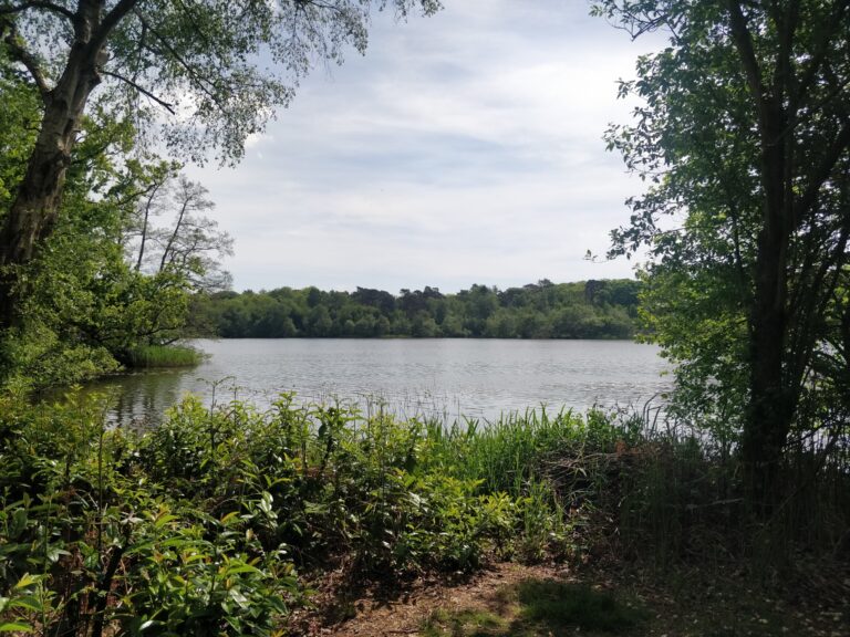 Things to do at Fritton Lake - Fritton Lake Woodland Cabin
